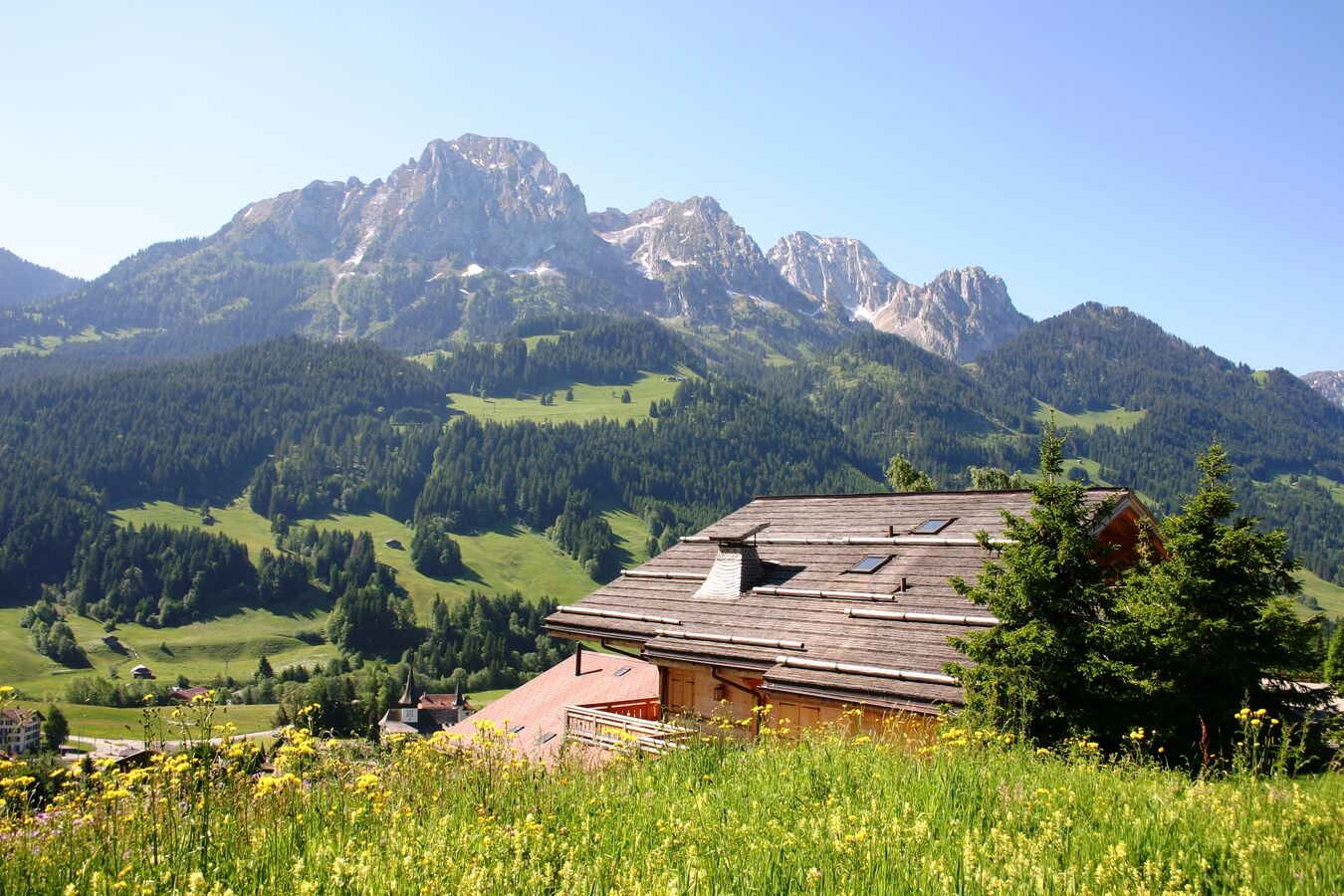 Real estate brokerage | Apartments, chalets, land | CF Immobilier | CF ...